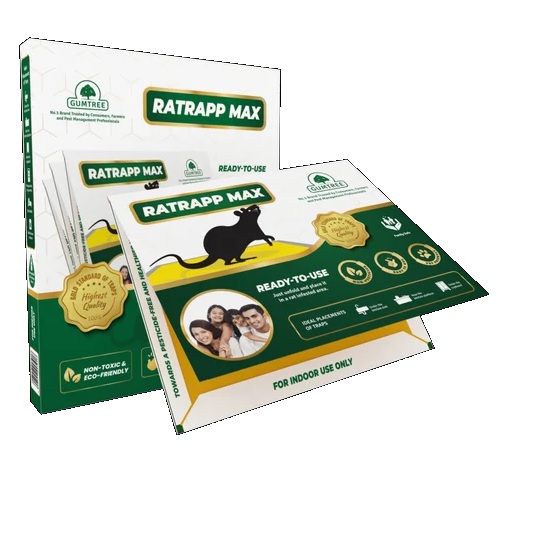 Rodent Trap/ Mouse Trap / Gum Tree Ratrapp Max (Rat Glue Trap – Big ...