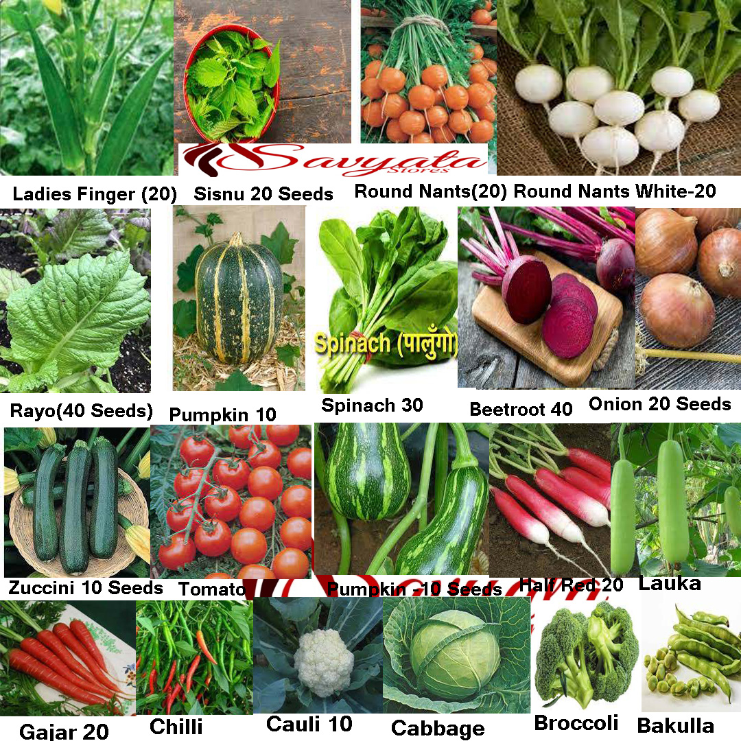 20 Types of Mixed Vegetables Seeds For Small Garden and Balcony | Daraz ...