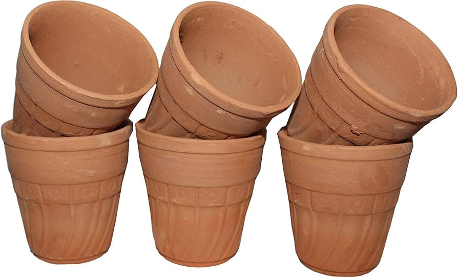 20 Pieces Set Of Tea Earthen Cup Khullad Baked Clay Khullad Cups ...