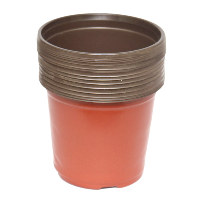 Brown Plastic Gamala - 8" ( Pack Of 20 ) | Daraz.com.np